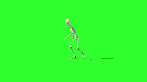 Skeleton Walk Animation Gi Render Green: video de stock (totalmente ...