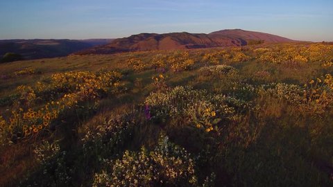 Rowena Overlook On Columbia River Gorge Stock Footage Video (100% ...