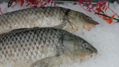 Big Plentiful Fat Tilapia Fish Isolated Stock Photo (Edit Now) 1926028940