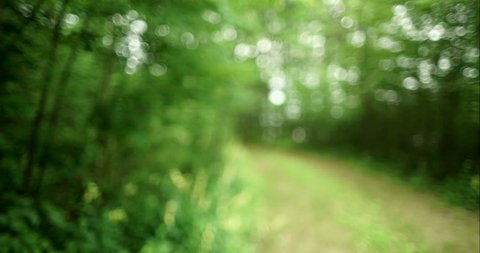 Garden Park Foliage Use Green Screen Stock Footage Video (100% Royalty ...