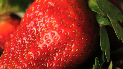 Big Strawberry Rotating Zoomed Stock Footage Video (100% Royalty-free ...