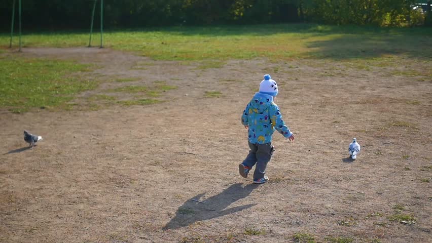 little boy chase pigeons looks very Stock Footage Video (100% Royalty ...