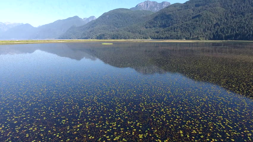 aerial view marsh pitt polder ecological Stock Footage Video (100% ...