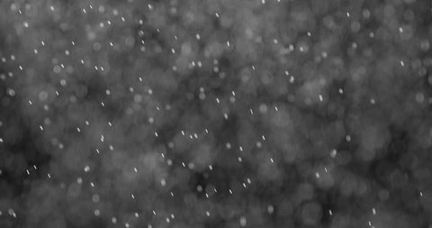 Actively Bubbling Microparticles Small White Particles Stock Footage ...