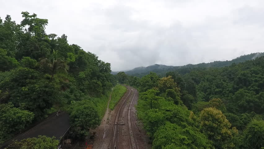 Railroad tracks with a corridor with trees image - Free stock photo ...
