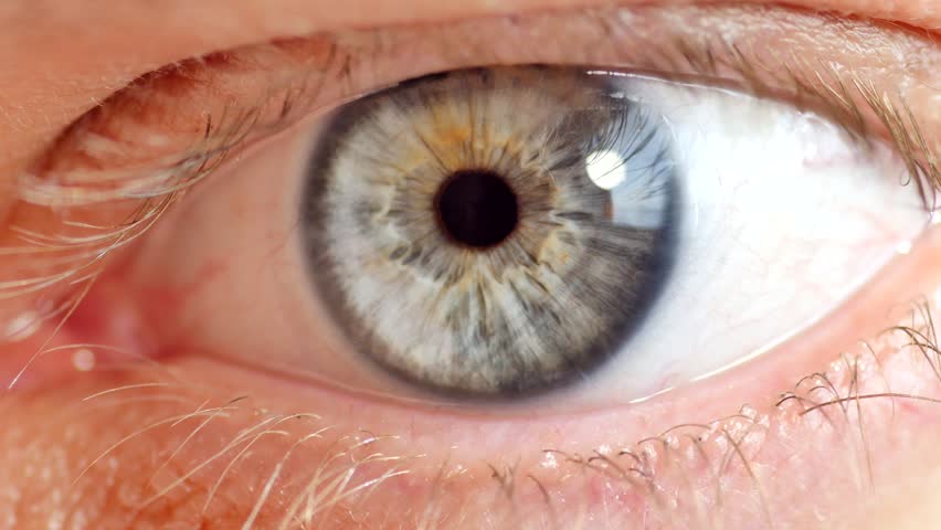 eye close pupil opening closing Stock Footage Video (100% Royalty-free ...