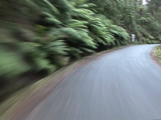 fast driving forest road Stock Footage Video (100% Royalty-free) 201418 ...