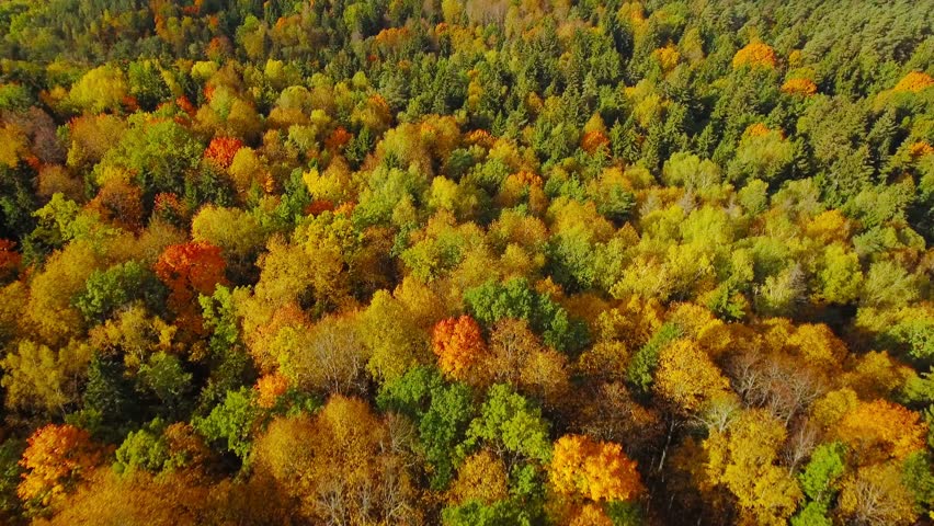 Autumn Nature Aerial Landscape Flight Stock Footage Video (100% Royalty ...