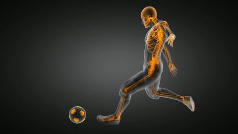 Soccer Player Visible Bones Medical Scan Stock Footage Video (100% ...