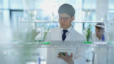 4k Portrait Smiling Research Scientist Studying Stock Footage Video ...