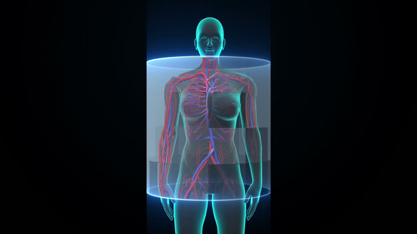 scanning blood vessel female body x-ray Stock Footage Video (100% ...