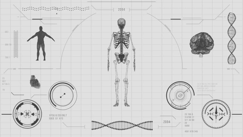 Human Skeleton Scan. Futuristic Medical Stock Footage Video (100% ...