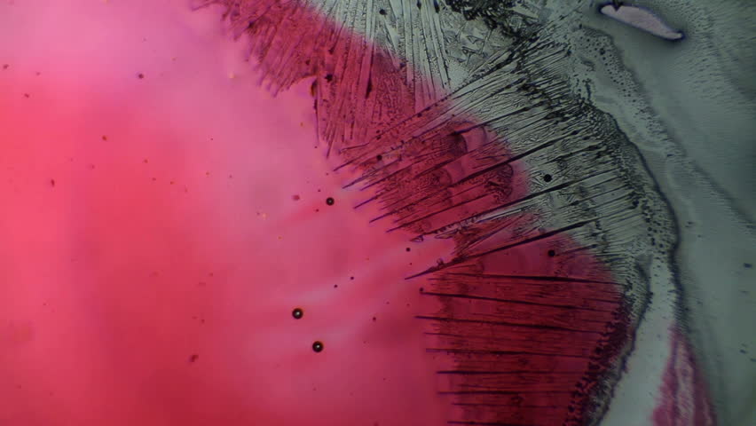 Chemical Reaction Under Microscope Stock Footage Video (100% Royalty ...