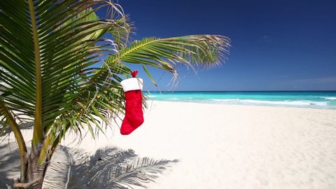 Christmas Stocking Hanging On Coconut Palm Stock Footage Video (100% ...