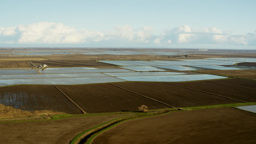aerial california usa sutter rice fields Stock Footage Video (100% ...