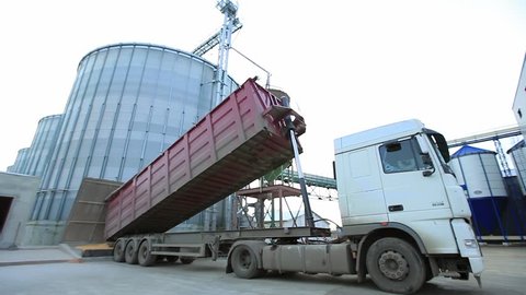 Unloading Corn Into Grain Silotruck Unloading Stock Footage Video (100% ...