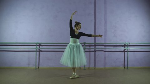 Beautiful Graceful Dancer Performs Elements Ballet Stock Footage Video ...