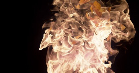 Stock Video Portfolio by Justin Heyl | Shutterstock