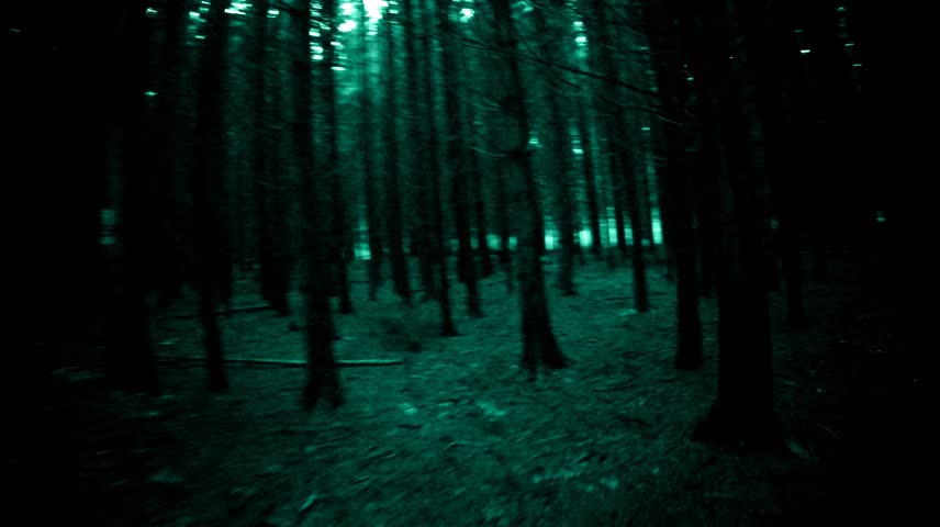 Running Through the Forest. Horror Stock Footage Video (100% Royalty ...