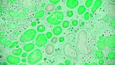 Curlicue Paints Stock Footage Video (100% Royalty-free) 20824900 ...