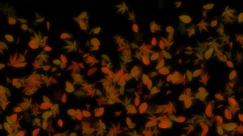 Autumn Falling Leaves Loop Stock Footage Video (100% Royalty-free) 20924215 | Shutterstock