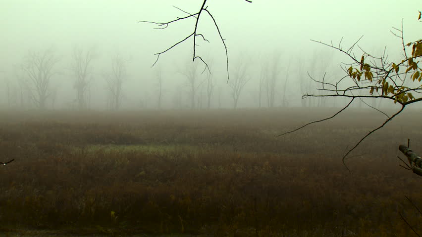 Scenic Creepy View Foggy Open Field Stock Footage Video (100% Royalty ...
