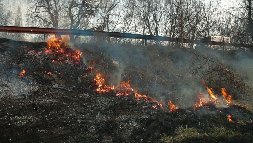 burning meadow Stock Footage Video (100% Royalty-free) 1221013 ...