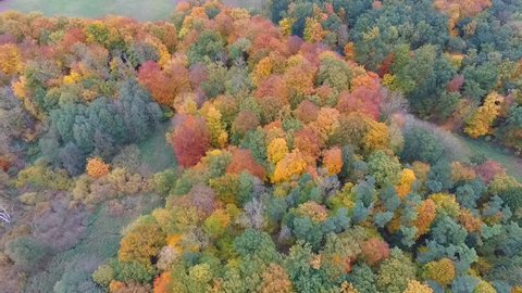 German Autumn Forest Stock Footage Video (100% Royalty-free) 21080713 ...