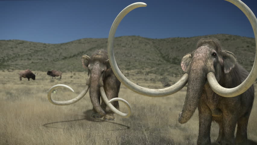 Bison and Mammoths in the Stock Footage Video (100% Royalty-free ...