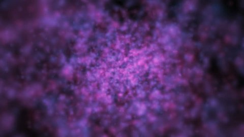 Blood Smear Red Blood Cells Under Stock Footage Video (100% Royalty ...