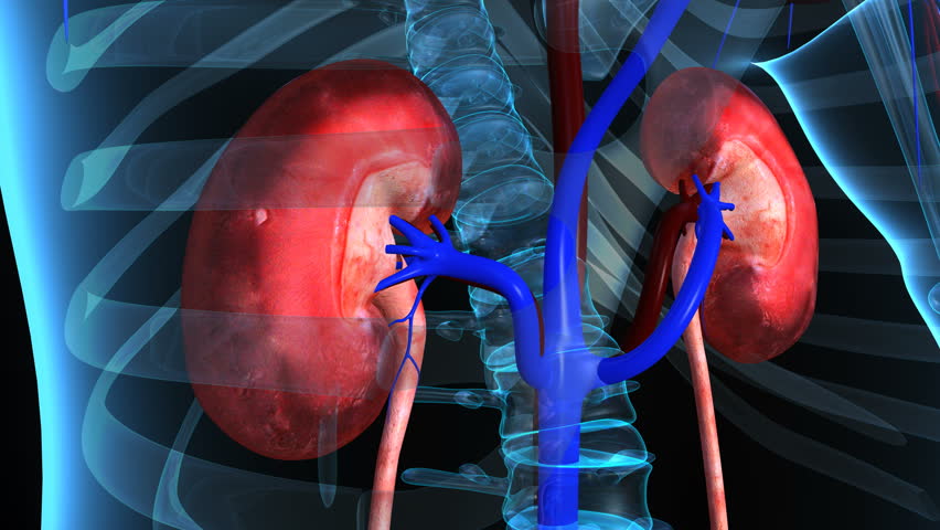 excretion human 4k Stock Footage Video (100% Royalty-free) 21300511 ...