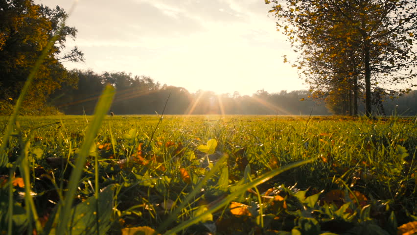 Sunbeams Field Autumn Sunrise Stock Footage Video (100% Royalty-free ...