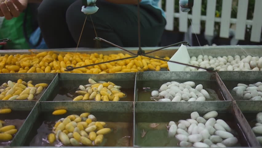 silk production process Stock Footage Video (100% Royalty-free) 2133809 ...