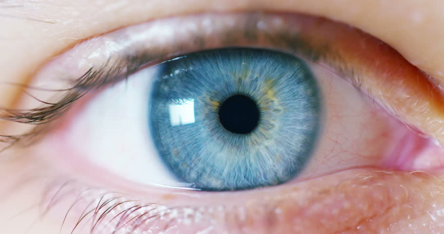 Macro Blue Eye with Dilated Stock Footage Video (100% Royalty-free ...