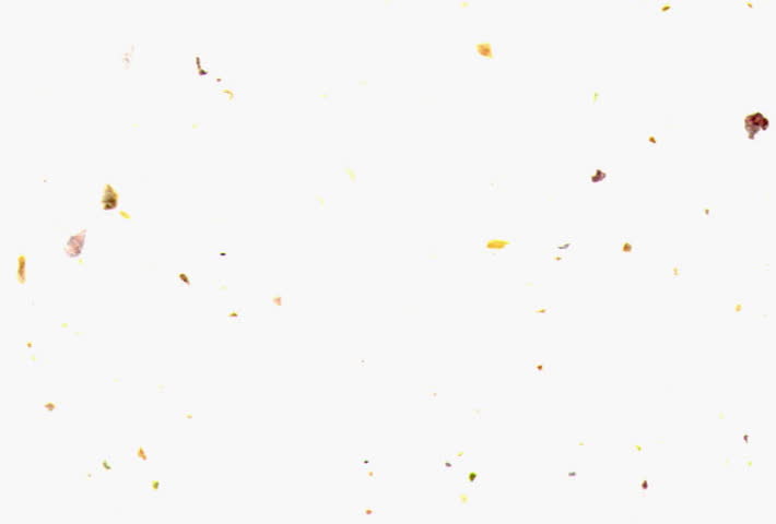 specks texture Stock Footage Video (100% Royalty-free) 2158094 ...