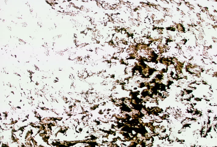 Brown and White Splotches On Stock Footage Video (100% Royalty-free ...