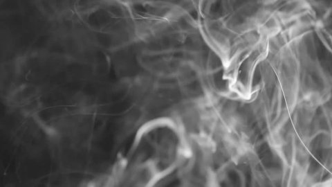 Cartera de videos de stock de Dennis Funchess, Jr. | Shutterstock