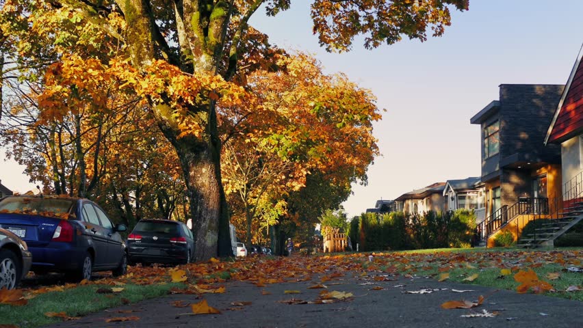 Suburbs in the Fall with Stock Footage Video (100% Royalty-free ...