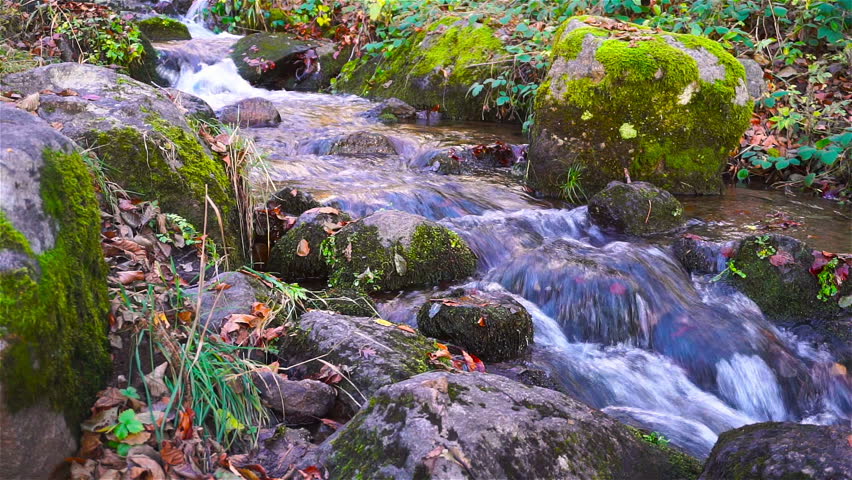 Beautiful Mountain Stream Deep in Stock Footage Video (100% Royalty ...