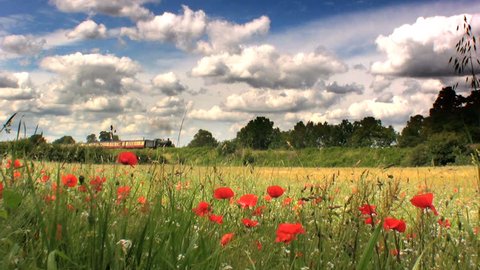 Steam Train Field Poppies Stock Footage Video (100% Royalty-free ...