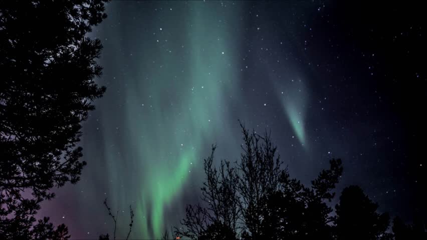 Northern Lights Between the Trees Stock Footage Video (100% Royalty ...