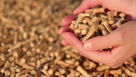 Hand Testing Pile Birch Wooden Pellets Stock Footage Video (100% ...