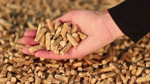 Hand Testing Pile Birch Wooden Pellets Stock Footage Video (100% ...