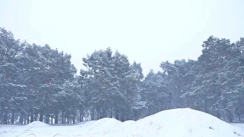 Beautiful Christmas Blizzard Tree in Stock Footage Video (100% Royalty ...