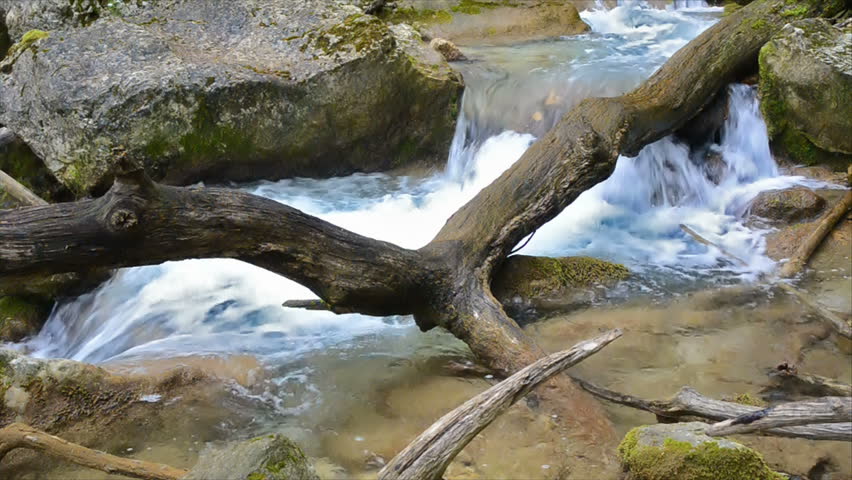 mountain stream spring melt-water flowing forest Stock Footage Video ...