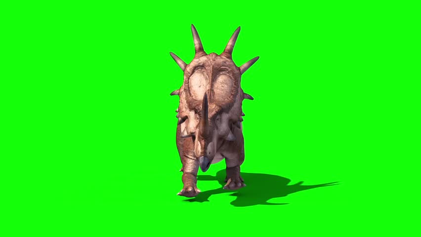 styracosaurus triceratops run front static loop Stock Footage Video ...