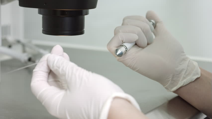 Embryologist Prepare Denudation Pipette Needle, Stock Footage Video ...