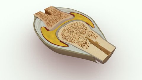 Crossed joints Stock Video Footage - 4K and HD Video Clips | Shutterstock