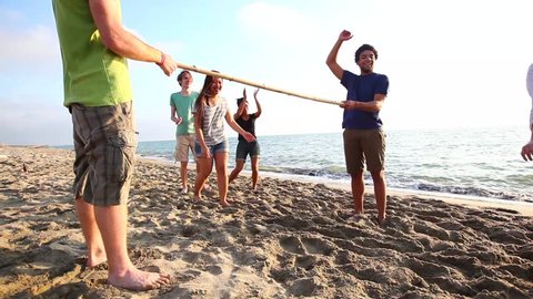 Friends Dancing Limbo Beach Multiracial Group Stock Footage Video (100% ...