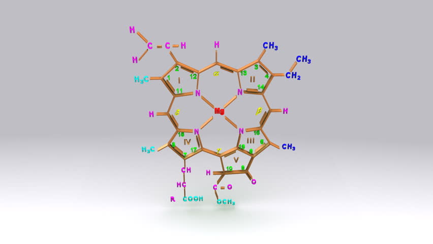 Chlorophyll C Structure Stock Footage Video (100% Royalty-free ...